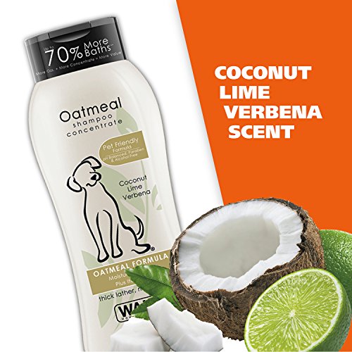 Wahl Dry Skin & Itch Relief Pet Shampoo for Dogs β Oatmeal Formula with Coconut Lime Verbena & Pet Friendly Formula, 24 Oz - Model 820004A