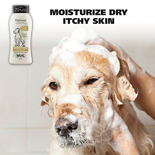 Wahl Dry Skin & Itch Relief Pet Shampoo for Dogs β Oatmeal Formula with Coconut Lime Verbena & Pet Friendly Formula, 24 Oz - Model 820004A