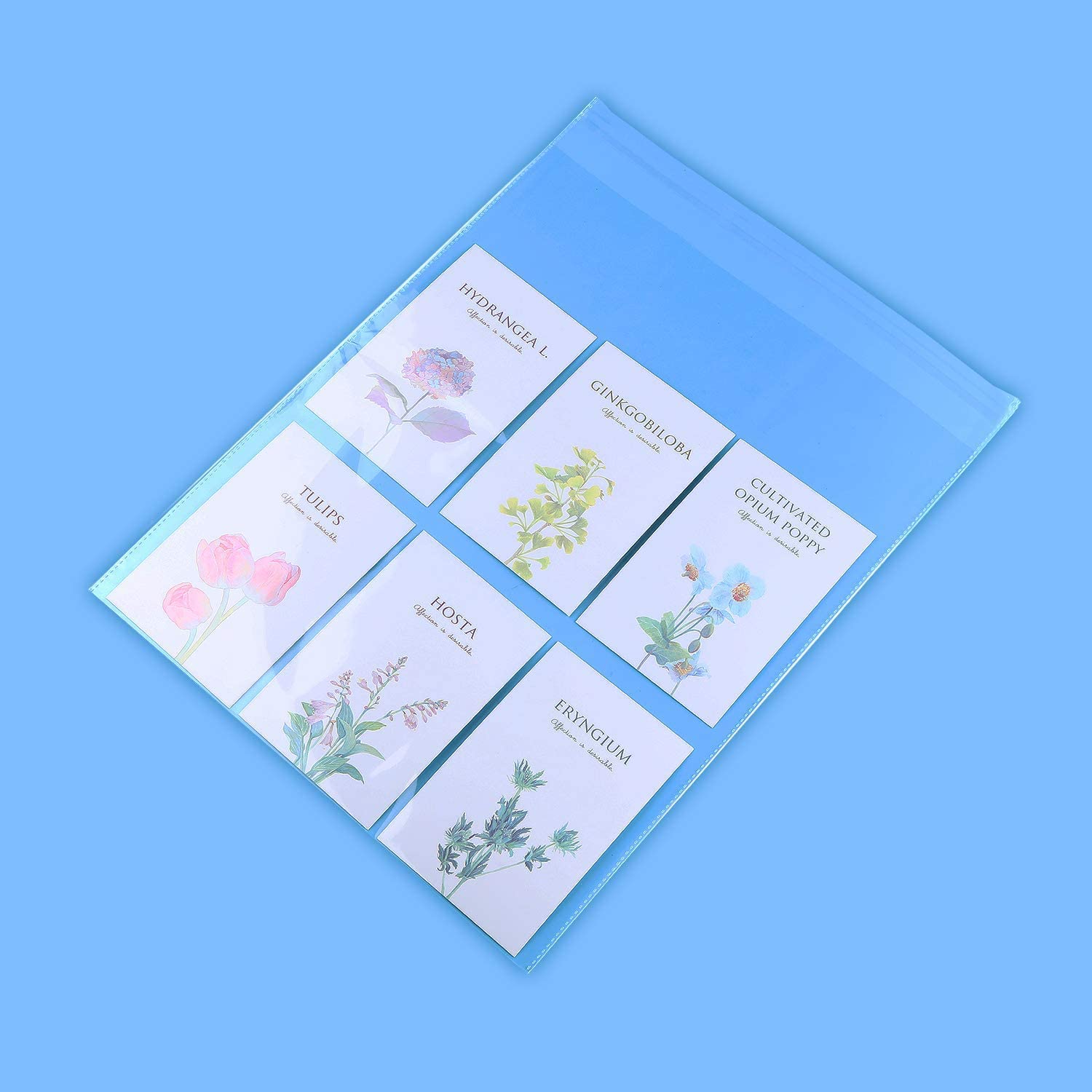 iMailer 200 Count - 12" x 15" Self Seal Clear Cello Cellophane Resealable Plastic Poly Bags for Clothing, T-Shirts, Pants