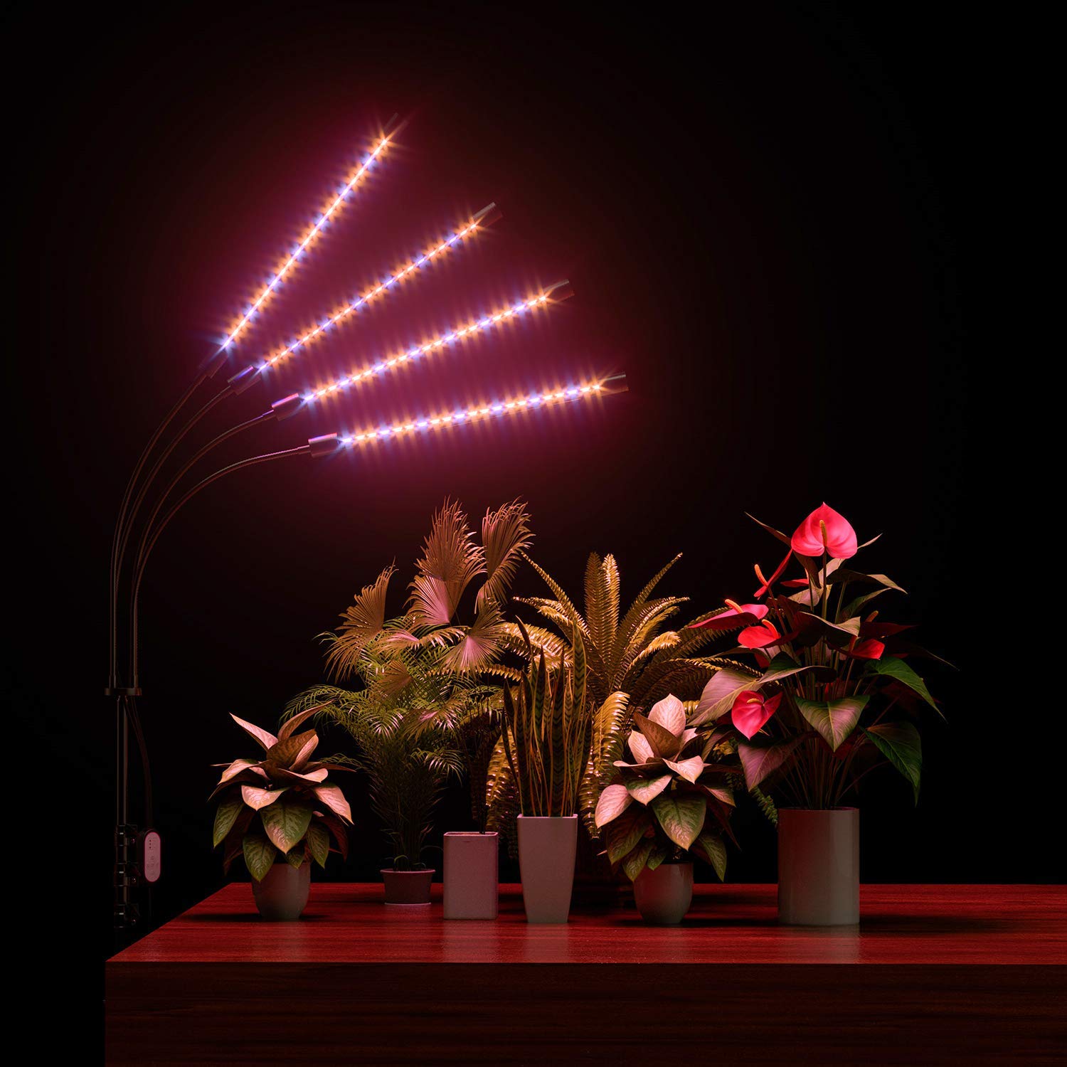 FRENAN Grow Light with Stand, Grow Lights for Indoor Plants with Red Blue Spectrum, 10 Dimmable Brightness, 4/8/12H Timer, 3 Switch Modes, Adjustable Gooseneck, Suitable for Various Plants Growth
