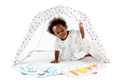 The Play Gym by Lovevery | Stage-Based Developmental Activity Gym & Play Mat for Baby to Toddler, 1 Count (Pack of 1)