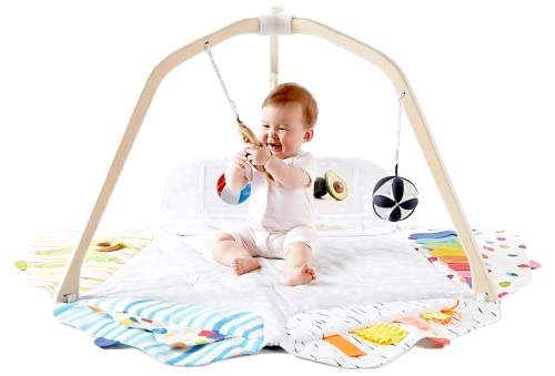 The Play Gym by Lovevery | Stage-Based Developmental Activity Gym & Play Mat for Baby to Toddler, 1 Count (Pack of 1)