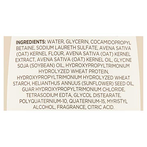 Equate Everyday Moisture Body Wash 18oz.