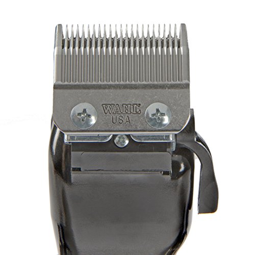 Wahl Professional Icon Clipper - Full Size With Ultra Powerful V9000 Motor for Professional Barbers and Stylists - Model 8490-900, Black