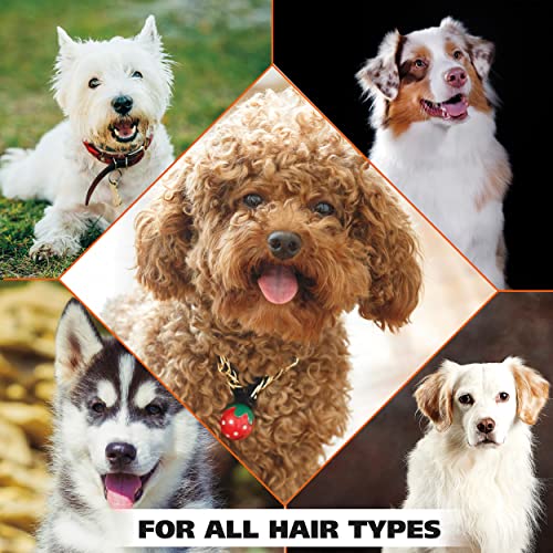 WAHL Shed Control Pet Shampoo for Dog Shedding & Dander β Lemongrass, Sage, Oatmeal, & Aloe for Healthy Coats & Skin β 24 Oz - Model 820005A