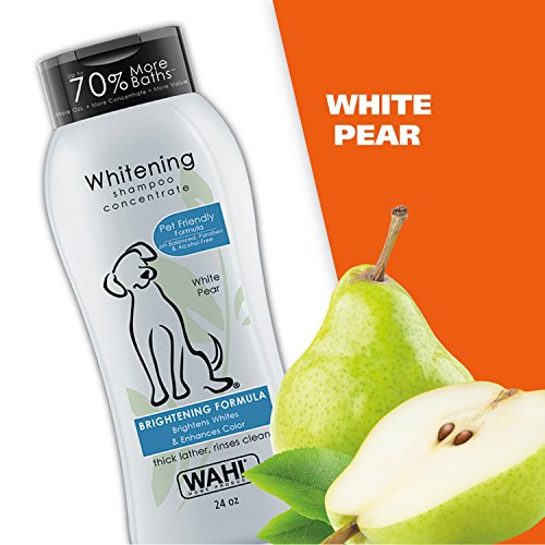Wahl Whitening Shampoo White Pear scent for Pets β Whitening & Animal Odor Control with Silky Smooth Results for Grooming Dirty Dogs β 24 oz - Model 820001A