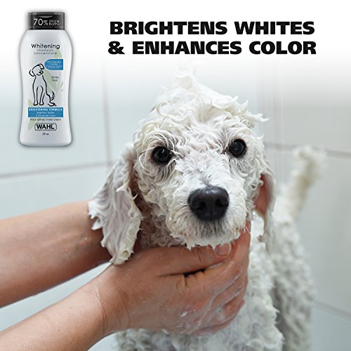 Wahl Whitening Shampoo White Pear scent for Pets β Whitening & Animal Odor Control with Silky Smooth Results for Grooming Dirty Dogs β 24 oz - Model 820001A