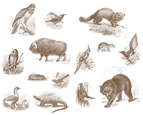 Wild Animals I Have Known