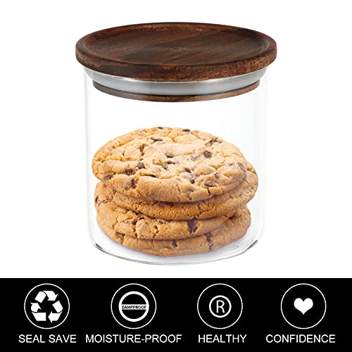 Mason Jars Mason Jars Glass Canister Jars Glass Kitchen Canisters with Airtight Bamboo Lid Cylinder Storage Containers for Flour Sugar Coffee Cookie Candy Snack and More 9. 5x13. 2 Terrarium/183 ( Col