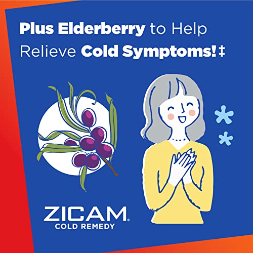 Zicam Cold Remedy RapidMelts, Elderberry Citrus Flavor, 25 Count (Pack of 1)