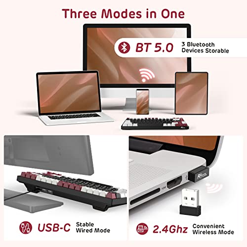 RK ROYAL KLUDGE RK84 RGB Limited Ed, 75% Triple Mode BT5.0/2.4G/USB-C Hot Swappable Mechanical Keyboard, 84 Keys Wireless Gaming Keyboard, RK Yellow Switch, Americano Black