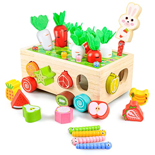 Kizmyee Toddler Montessori Toys for Kids, Wooden Educational Toys Shape Color Sorting Matching Educational Wooden Toys for Toddlers for Boys Girls 1 2 3 4 5+ Year Old