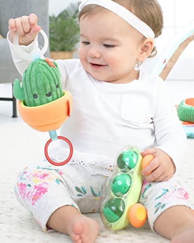 Skip Hop Baby Toy Car, Farmstand Grow & Play, Pod Squad
