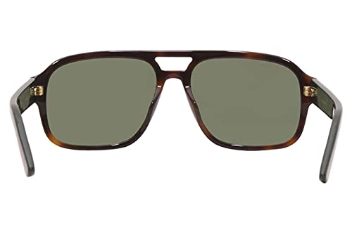 Gucci GG 0925S 002 Havana Plastic Aviator Sunglasses Green Lens