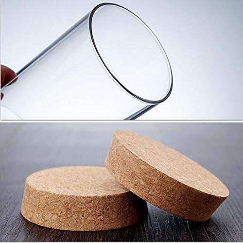 2Pcs 300ml/10oz Empty Clear Glass Bottles with Cork Stopper - Refillable Dry Food Goods Storage Container Vial Jars For Flower Tea Dry Fruit Nuts Candy Seasoning and Other Small Items