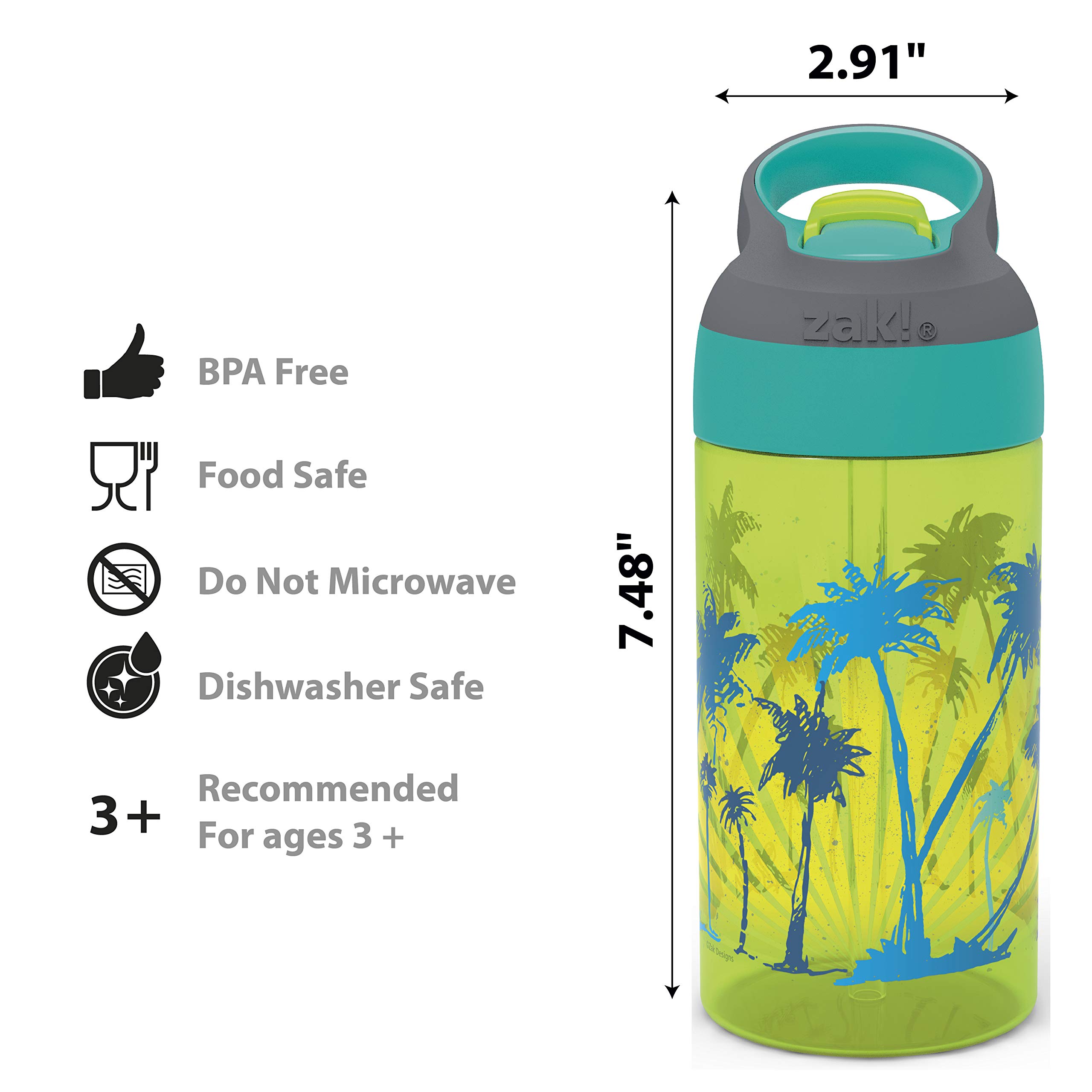 Zak Designs 16oz Riverside Beach Life Kids Water Bottle with Straw and Built in Carrying Loop Made of Durable Plastic, Leak-Proof Design for Travel, 2 count (Pack of 1)