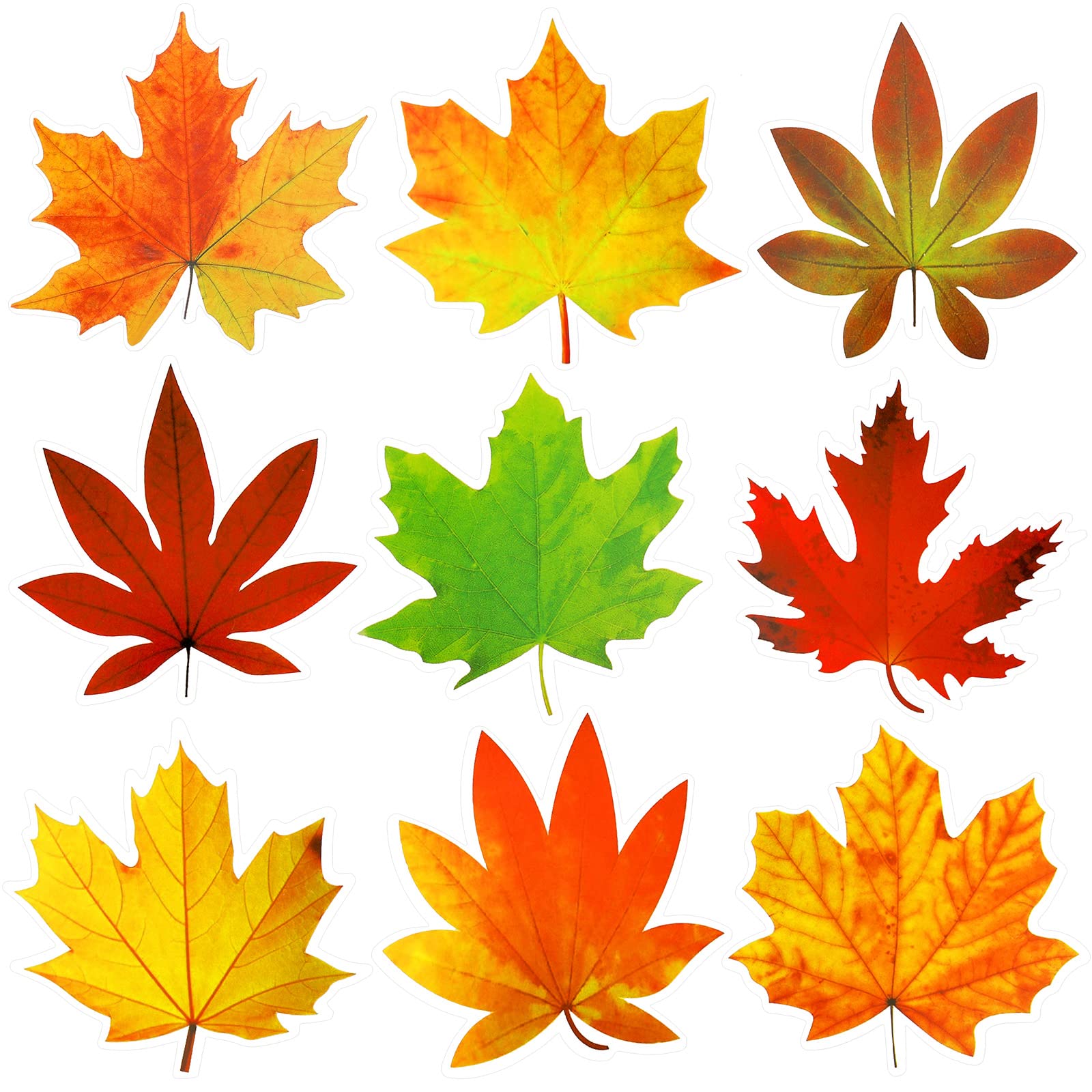 Fall Bulletin Board Decorations Fall Leave Cutout Autumn Thanksgiving Artificial Leaf Cutout Maple Paper Leave with Glue Point Dot for Classroom Bulletin Board Wall Decoration, 3.94 x 3.5 In (135 Pcs)