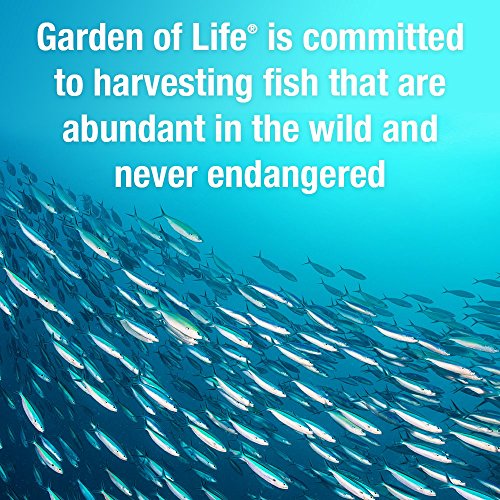 Garden of Life Ultra Pure EPA/DHA Omega 3 Fish Oil - Oceans 3 Better Brain Supplement with Antioxidants, 90 Softgels