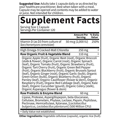 Garden of Life Vitamin D, Vitamin Code Raw D3, Vitamin D 2,000 IU, Raw Whole Food Vitamin D Supplements with Chlorella, Fruit, Veggies & Probiotics for Bone & Immune Health, 120 Vegetarian Capsules