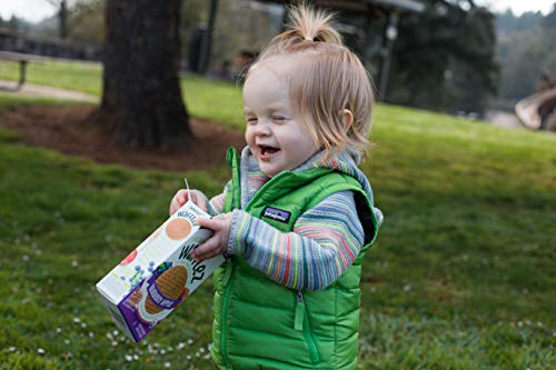 Sprout Organic Baby Food, Stage 4 Toddler Snacks, Blueberry Apple Wafflez, Single Serve Waffles (5 Count)