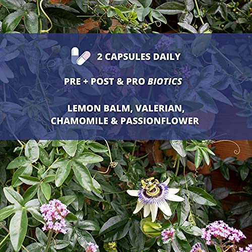 Garden of Life Dr. Formulated Probiotics Platinum Series Restore Sleep with Herbs 200 Billion CFU Guaranteed Plus Valerian Chamomile and More for Digestion, Immune Support, Restful Sleep, 28 Capsules