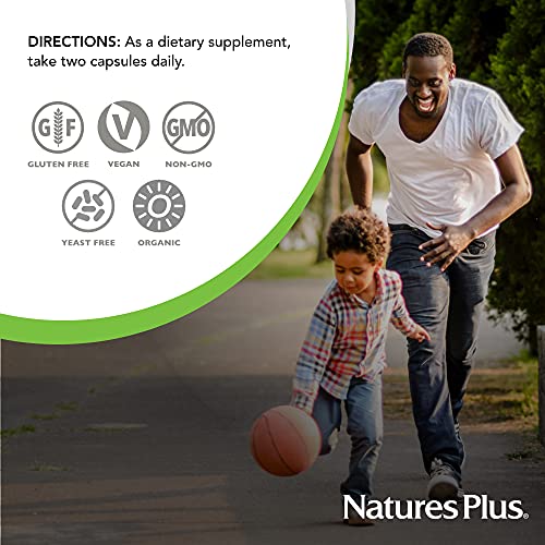 NaturesPlus Source of Life Garden Certified Organic B Complex - 60 Vegan Capsules - Complete Vitamin B Supplement, Energy Booster - Vegetarian, Gluten-Free - 30 Servings