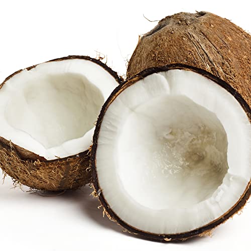 Olay Ultra Moisture Coconut Oasis Body Wash, for Smooth and Healthy Looking Skin, 22 Fl Oz (Pack of 4)