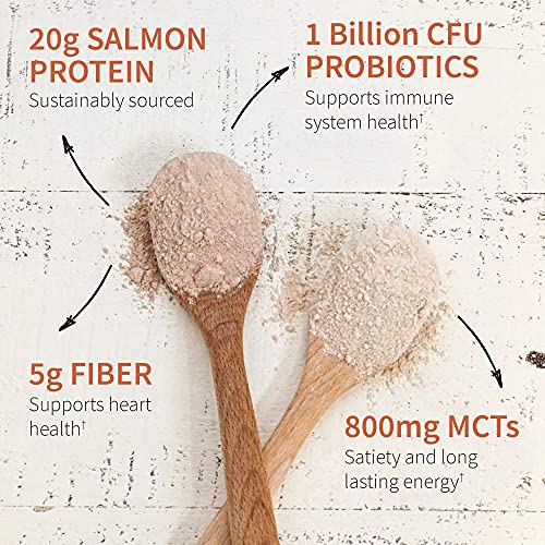 Garden of Life Norwegian Salmon & Vanilla Plant Based Protein with Pea & Fava Plus Immune Support with Probiotics for Digestion & Immunity – Dr Formulated MD – Non GMO, Carbon Neutral, 14 Servings