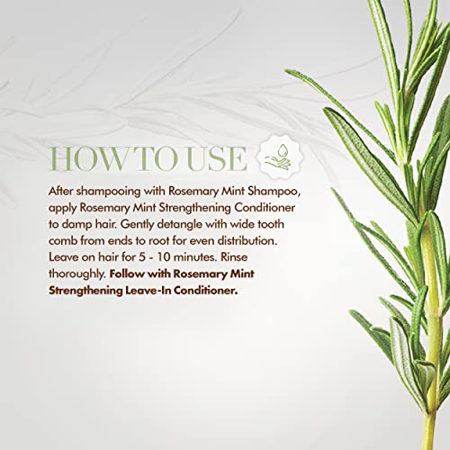 Mielle Organics Rosemary Mint Strengthening Shampoo and Conditioner Infused with Biotin
