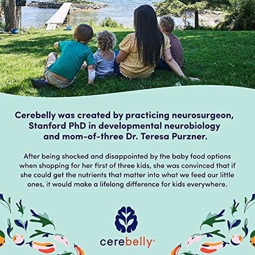 Cerebelly Toddler Snack Bars β Strawberry Beet Smart Bars (Pack of 5), Healthy & Organic Whole Grain Bars with Veggies & Fruit, 15 Brain-supporting Nutrients from Superfoods, Nut Free, No Added Sugar, Made with Gluten Free Ingredients