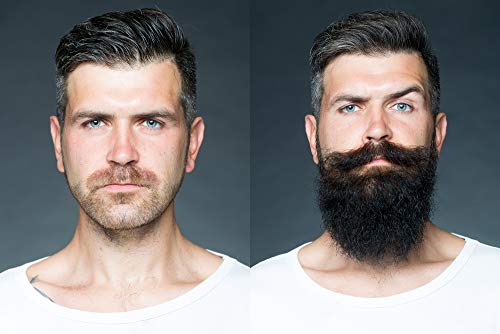 Best Earth Naturals Beard Growth Formula for Men Vitamins, Nutrients, Biotin, Saw Palmetto, and PABA for Facial Hair Growth 30 Count