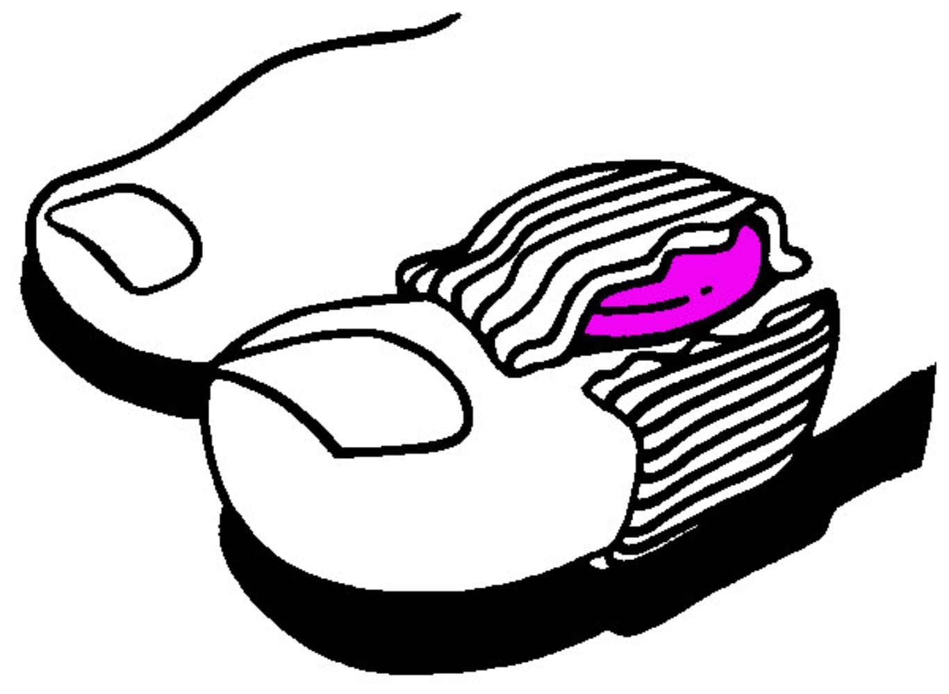 Dr Jill’s Foot Pads, Y42753, Latex Free Gel and Fabric Corn Pads-Small/Medium-6 Pack