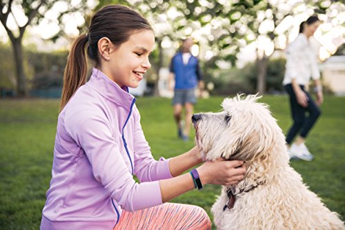 Fitbit Ace, Activity Tracker for Kids 8+, Power Purple / Stainless Steel, 1 Count