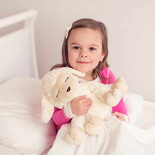 Summer Mommie's Melodies Soother, Lamb