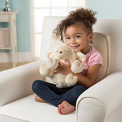 Summer Mommie's Melodies Soother, Lamb