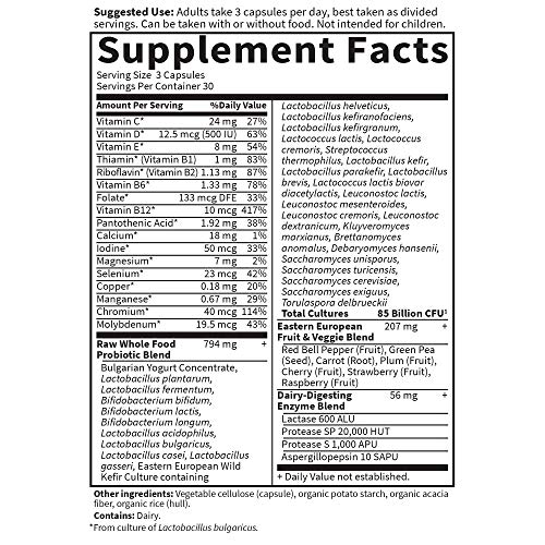 Garden of Life - RAW Probiotics Men - 90 Vegetarian Capsules