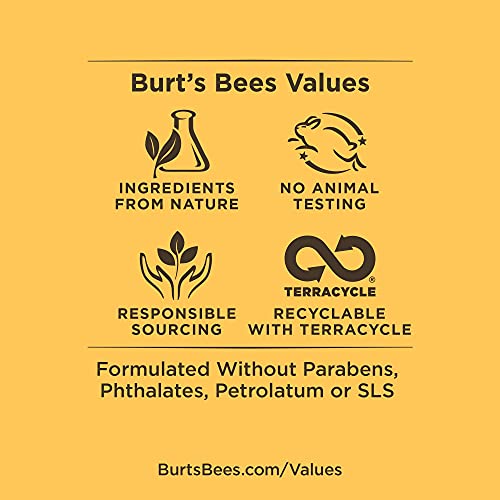 Face Cleanser, Burt's Bees Retinol Alternative, Refining Facial Wash, All Natural, Anti-Aging Skin Care, 6 Ounce (Packaging May Vary)