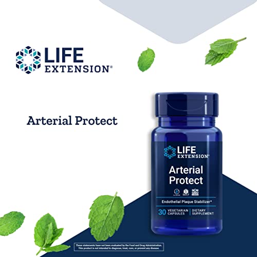 Life Extension Arterial Protect - Gotu Kola and Pycnogenol French Maritime Pine Bark Extracts - Non-GMO, Gluten-Free - 30 Vegetarian Capsules