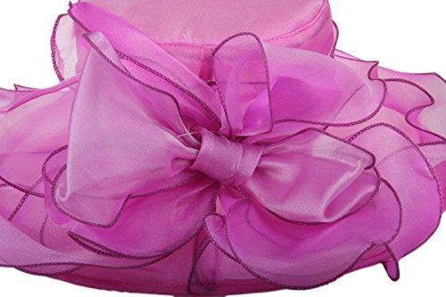DANTIYA Women's Kentucky Derby Sun Hat Church Cocktail Party Wedding Dress Organza Hat (Rose)
