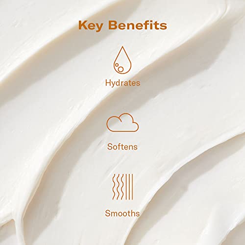 DAE Monsoon Moisture Mask - Intense Hydration, Leaves Hair Glossy & Smooth, Strengthens Hair Elasticity, Helps Prevent Damage (8 oz)