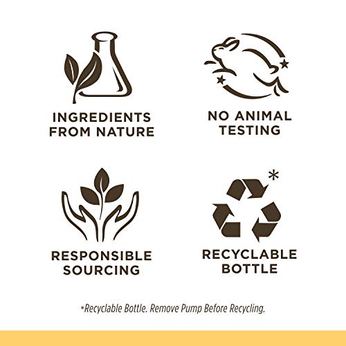 Burt’s Bees Baby Shampoo & Wash, Calming, 21 Ounces (Pack of 3)