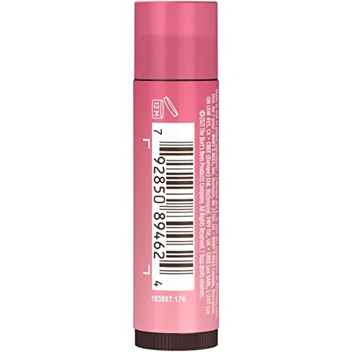 Burt's Bees Lip Balm Easter Basket Stuffers, Tinted Moisturizing Lip Care Spring Gift for Women, for Dry Lips, 100% Natural, with Shea Butter, Hibiscus (2 Pack)
