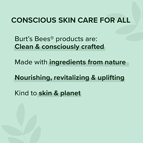 Burt's Bees Lip Balm Easter Basket Stuffers, Tinted Moisturizing Lip Care Spring Gift for Women, for Dry Lips, 100% Natural, with Shea Butter, Hibiscus (2 Pack)