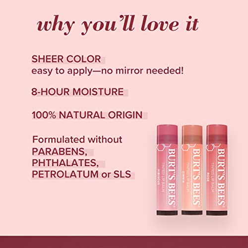 Burt's Bees Lip Balm Easter Basket Stuffers, Tinted Moisturizing Lip Care Spring Gift for Women, for Dry Lips, 100% Natural, with Shea Butter, Hibiscus (2 Pack)