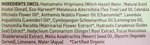 Facial Cleansing Pads - Tea Tree Oil, 50 pads 2-pack