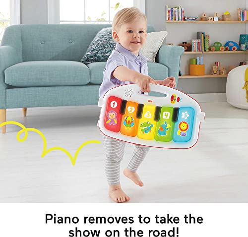 Fisher-Price Baby Gym & Activity Mat, Deluxe Kick & Play Piano Gym with Musical Toys, Lights & Smart Stages Learning