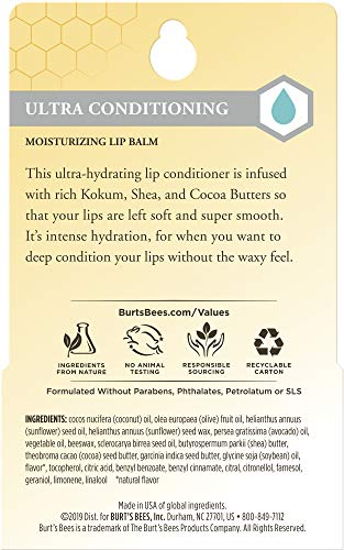 Burt's Bees Lip Balm Easter Basket Stuffers, Moisturizing Lip Care Spring Gift, for All Day Hydration, 100% Natural, Ultra Conditioning with Shea, Cocoa & Kokum Butter (2 Pack)