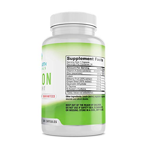 Best Earth Naturals Vision Support Formula Supplement with Eye Vitamins, Lutein, Vitamin A, Quercetin and More - 30 Count