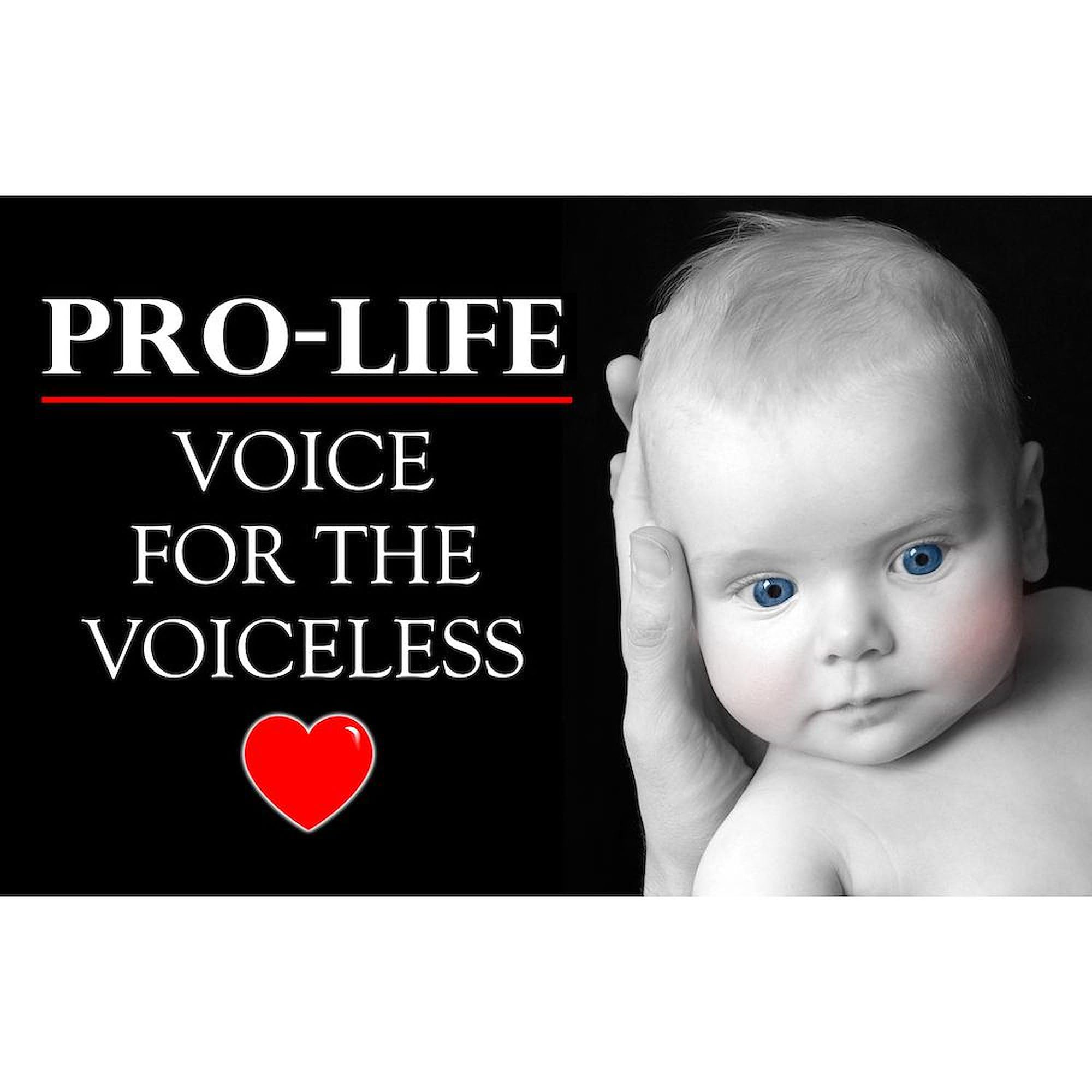 CafePress Pro Life Voice for The Voiceless Vinyl Banner, 44"x30" Hanging Sign, Indoor/Outdoor