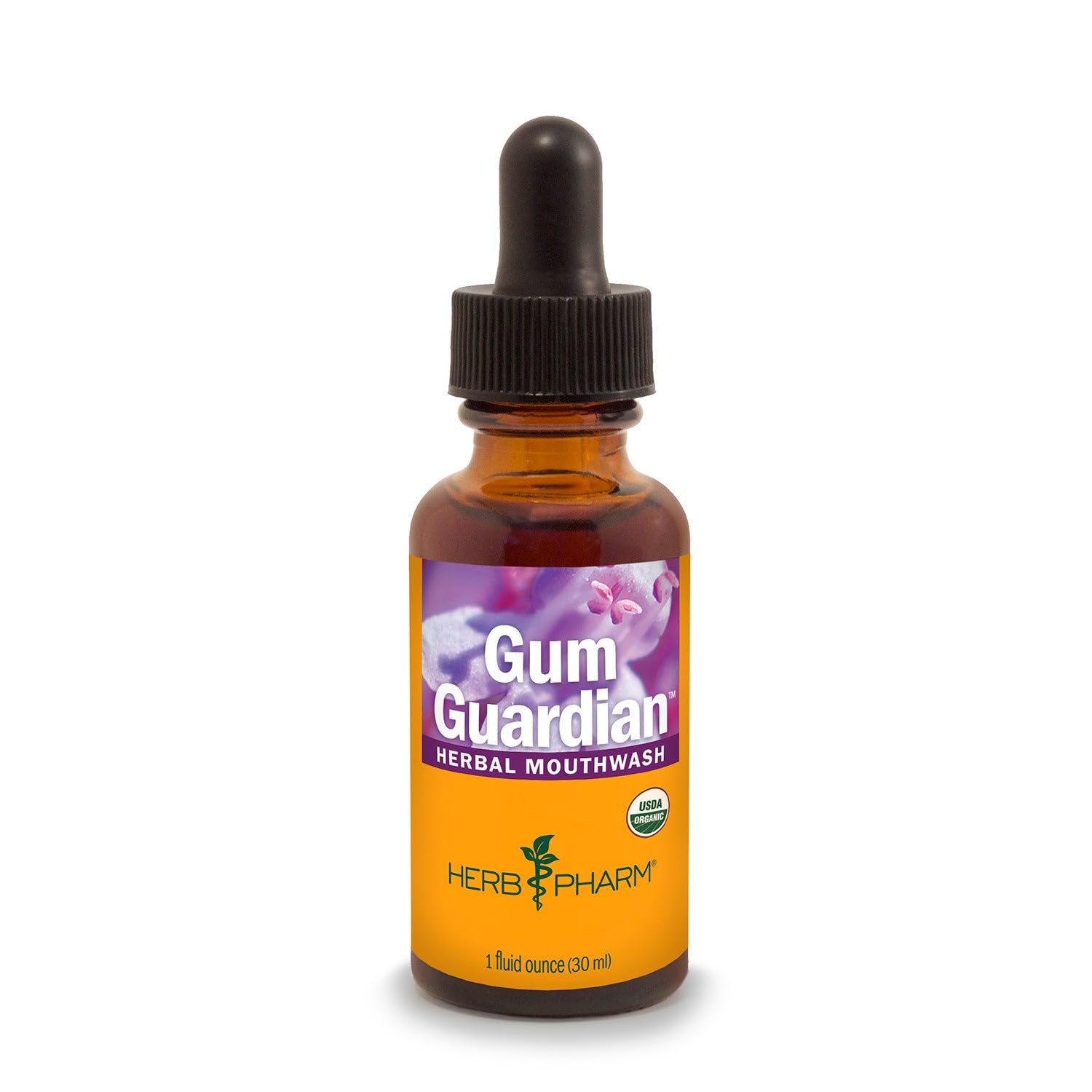 Herb Pharm Gum Guardian Herbal Mouthwash for Healthy Mouth and Gums, Organic, 1 Fl Oz (Pack of 1)